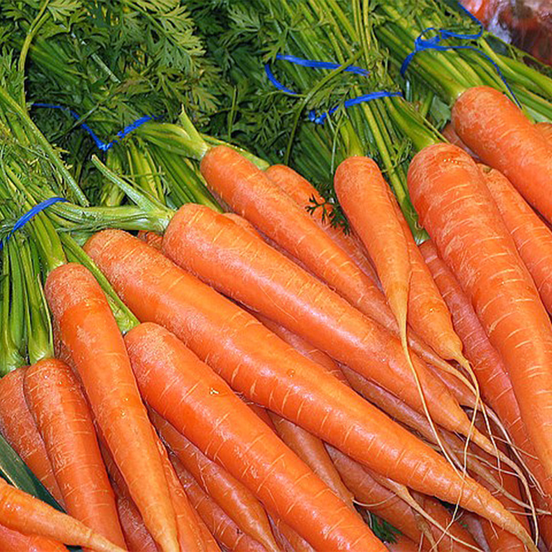 Roasted Carrots Healthy Bread